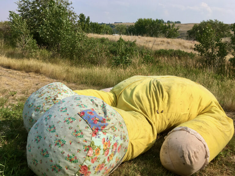 Field Doll - Heather Benning